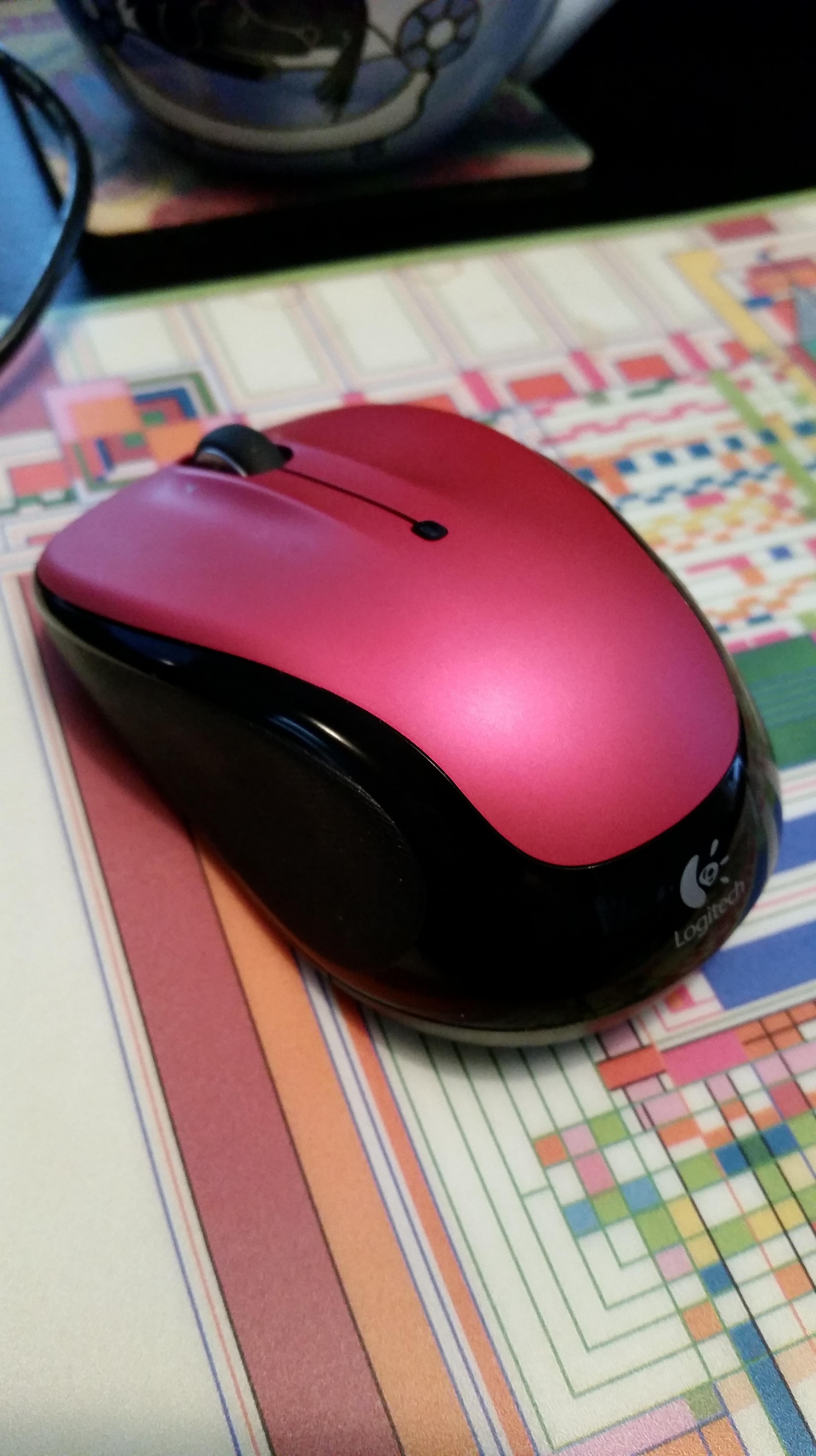 Almost killed an innocent mouse – Kate Mahar writes